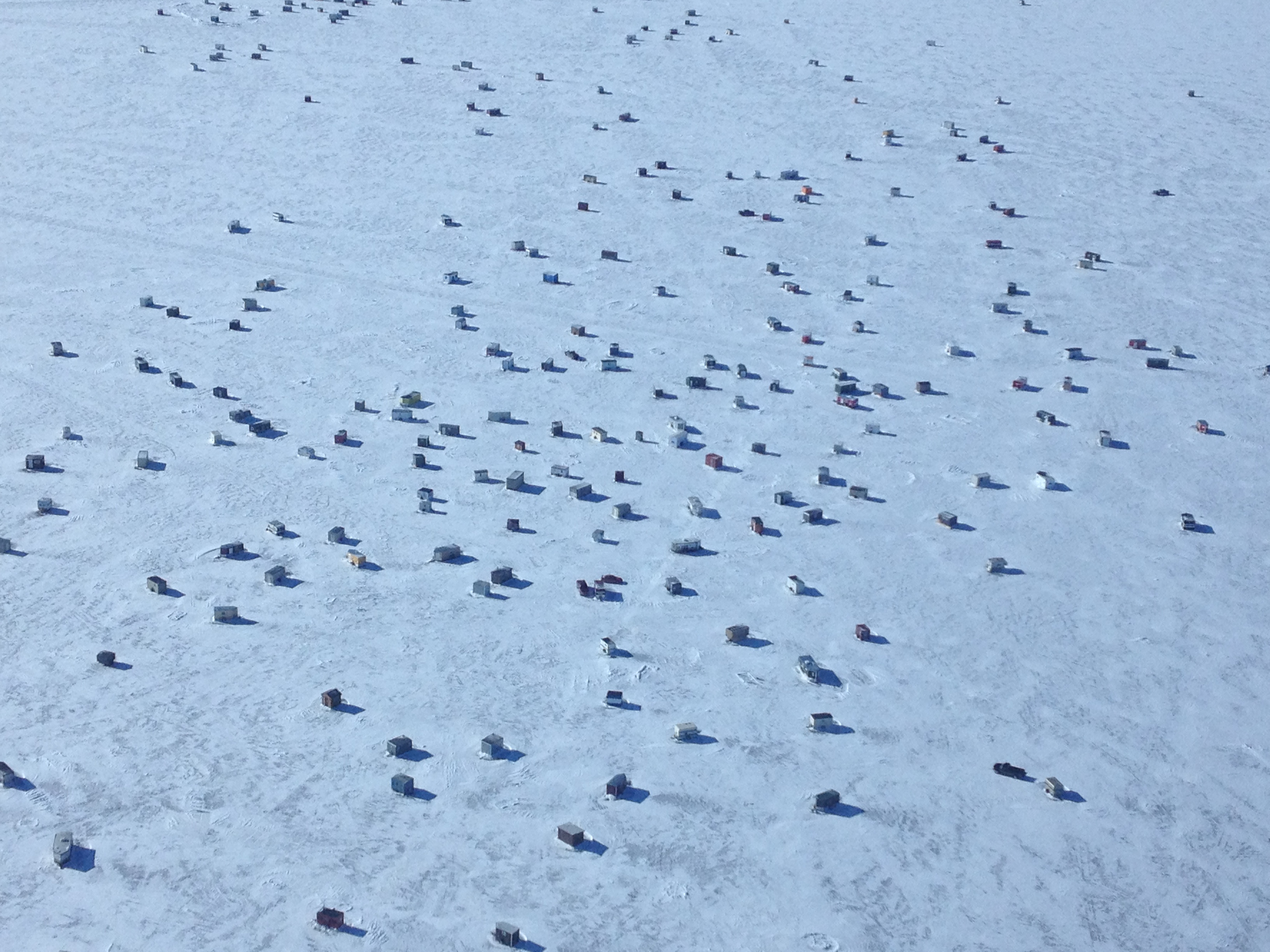 Terminal Burrowing – Kristin Laurel Poetry